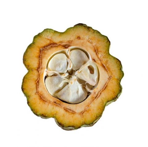Felchlin Swiss Noble Chocolate & Couverture | World Wide Chocolate