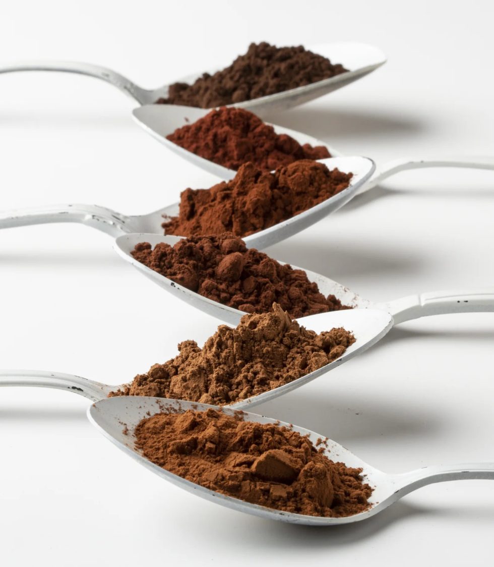Unveiling the Secrets of Dutch and Natural Process Cocoa Powder | World ...