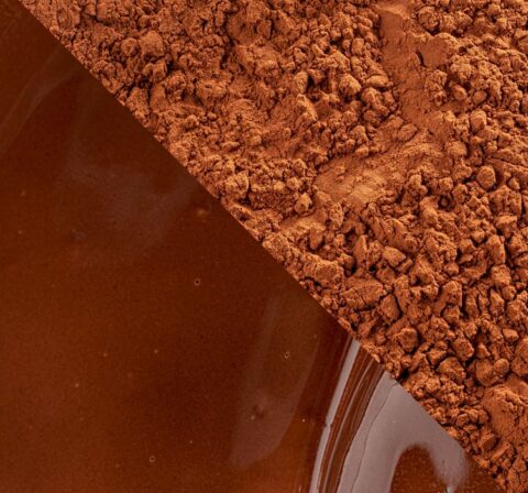 Cacao Barry Plein Arôme 22/24% Dutched Cocoa Powder | World Wide Chocolate