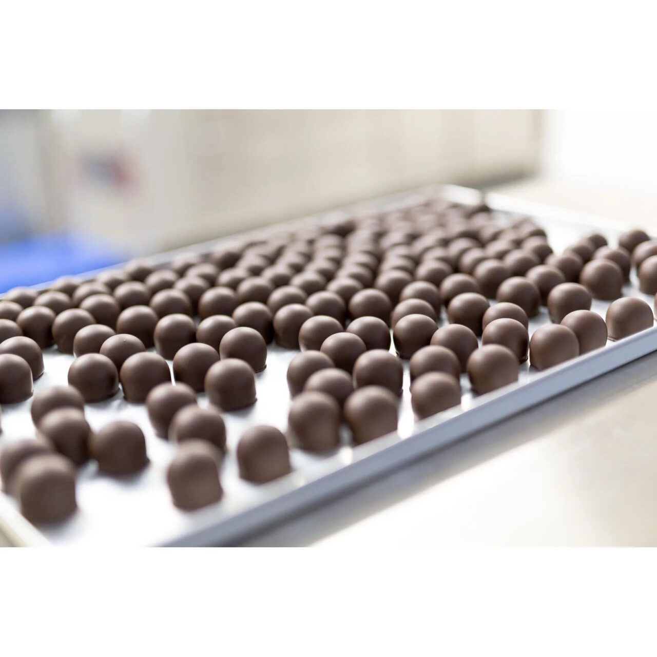 Reber Chocolate Chocolate | World Wide Chocolate