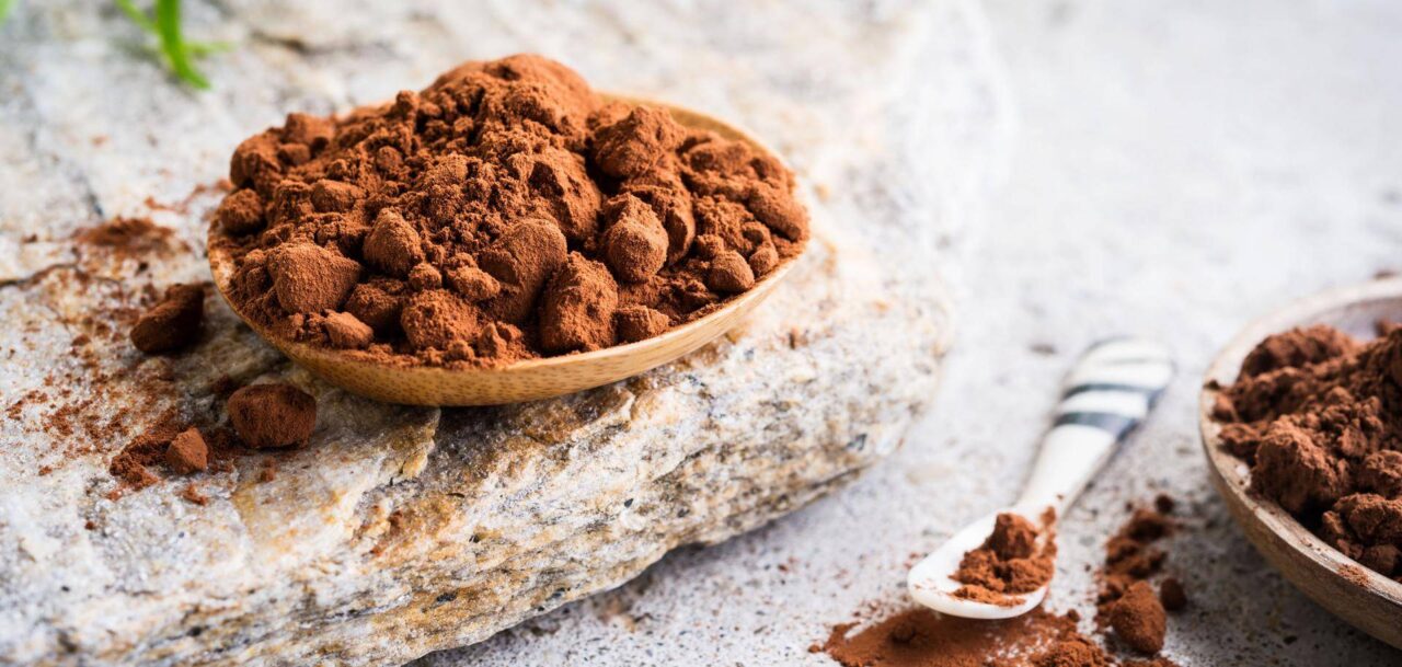 Bensdorp Dutch Cocoa Powder | World Wide Chocolate
